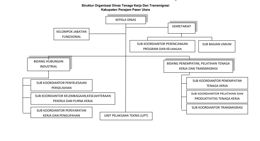 STRUKTUR ORGANISASI – DINAS TENAGA KERJA DAN TRANSMIGRASI
